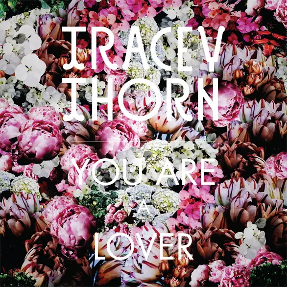 Tracy Thorn تاسو یاست