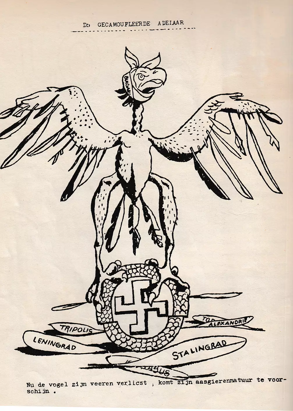 Forsíða hollenska blaðsins „The Camouflaged Eagle“. „Nú þegar fuglinn [tákn Þýskalands] missir fjaðrirnar, birtist fjörugur karakter hans. Holland er hernumið og nasistar eru að tapa stríðinu.