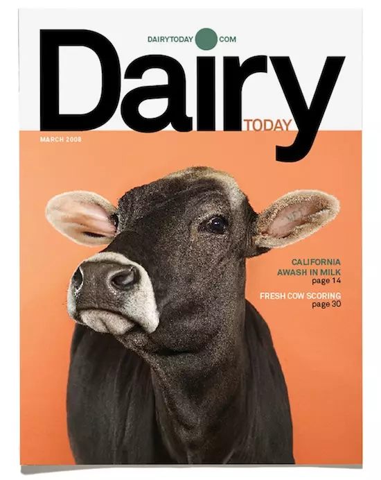 Dairy Today4