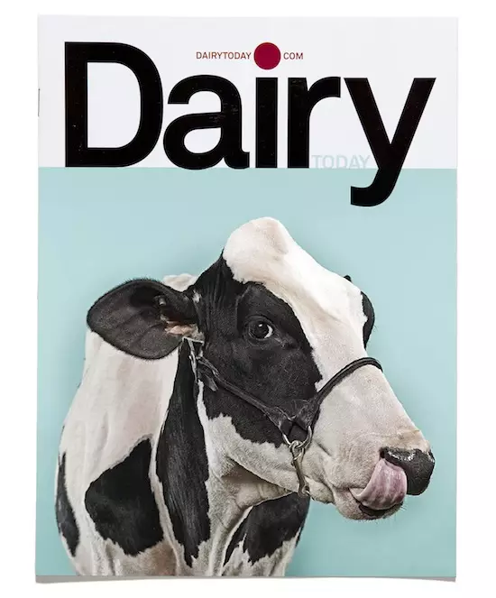 Dairy Today1