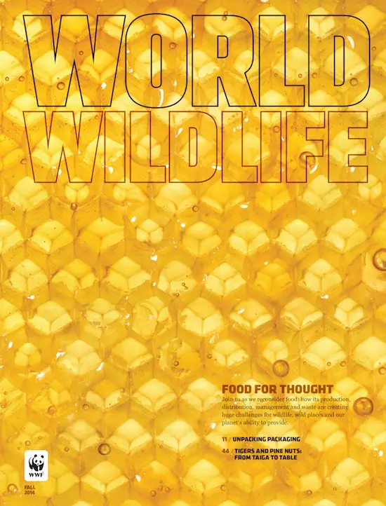 World Wildlife-kápa4