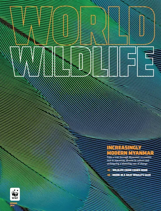 WorldWildlife-cover2