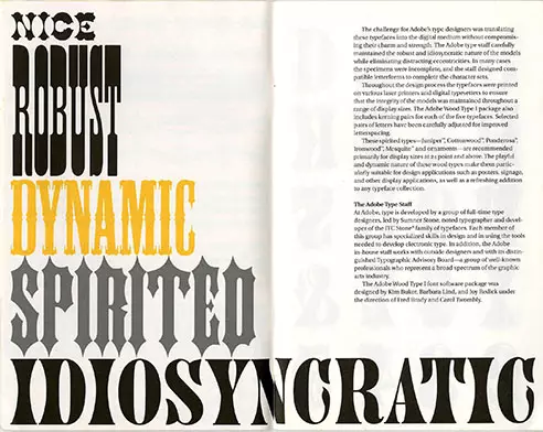 Iphakethe leDigital Wood Type