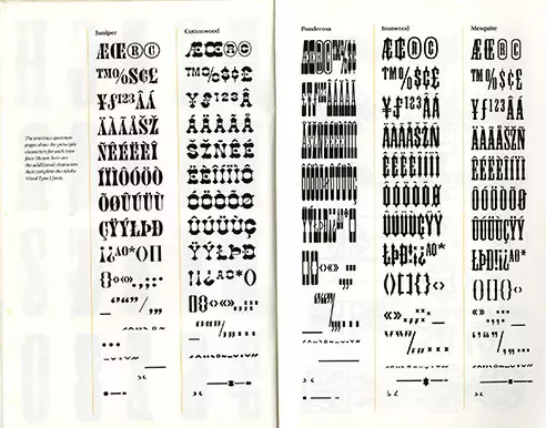 Iphakethe leDigital Wood Type