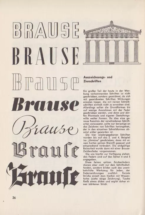 brause 5