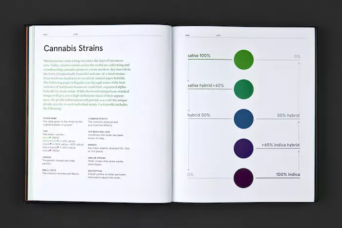 Enfoque en el color: 23 proyectos de diseño galardonados que utilizan el color verde 4803_14