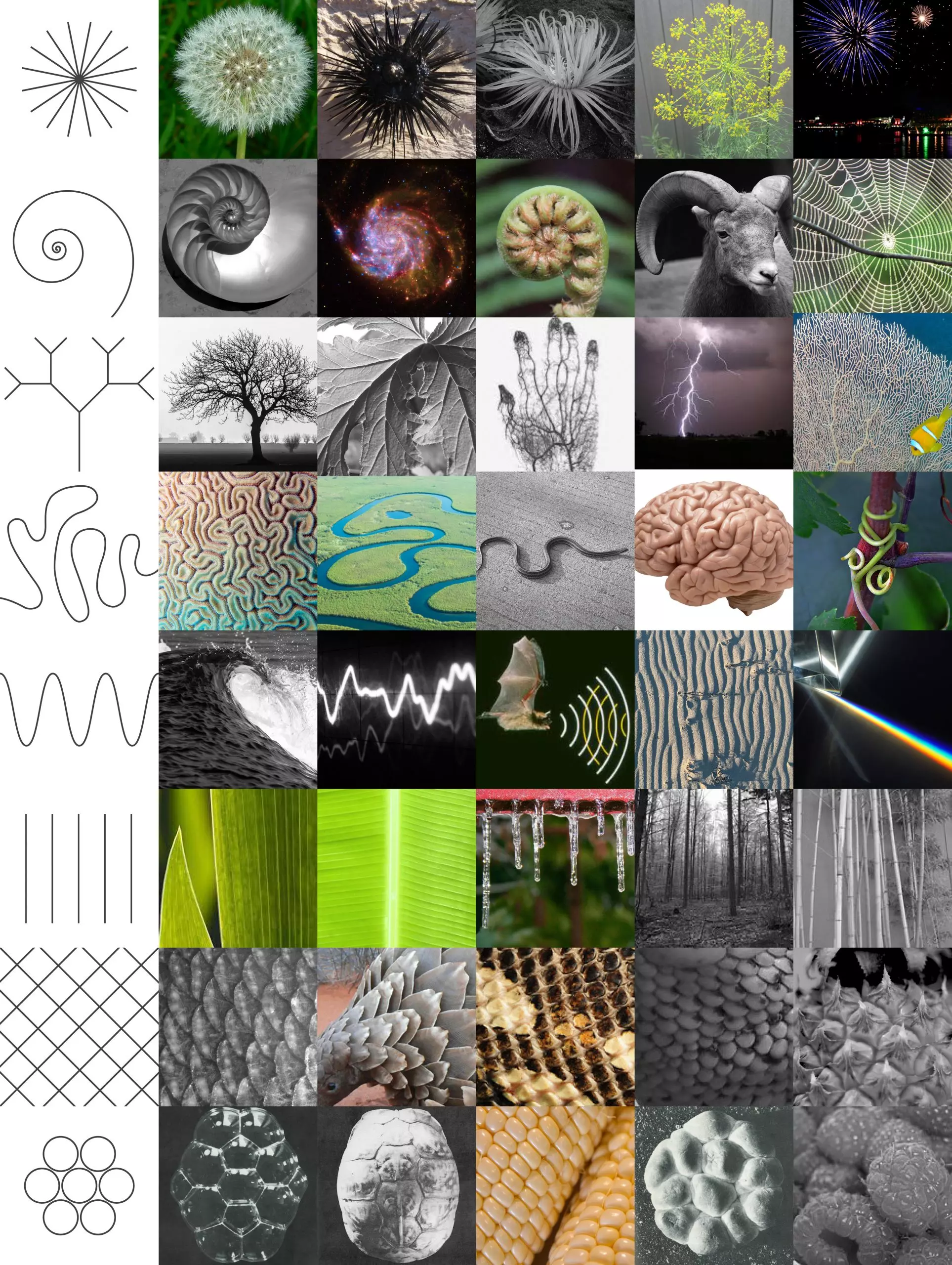 The Daily Heller: Visualisering af læringsmønstre gennem naturens rumlige mønstre 4894_9