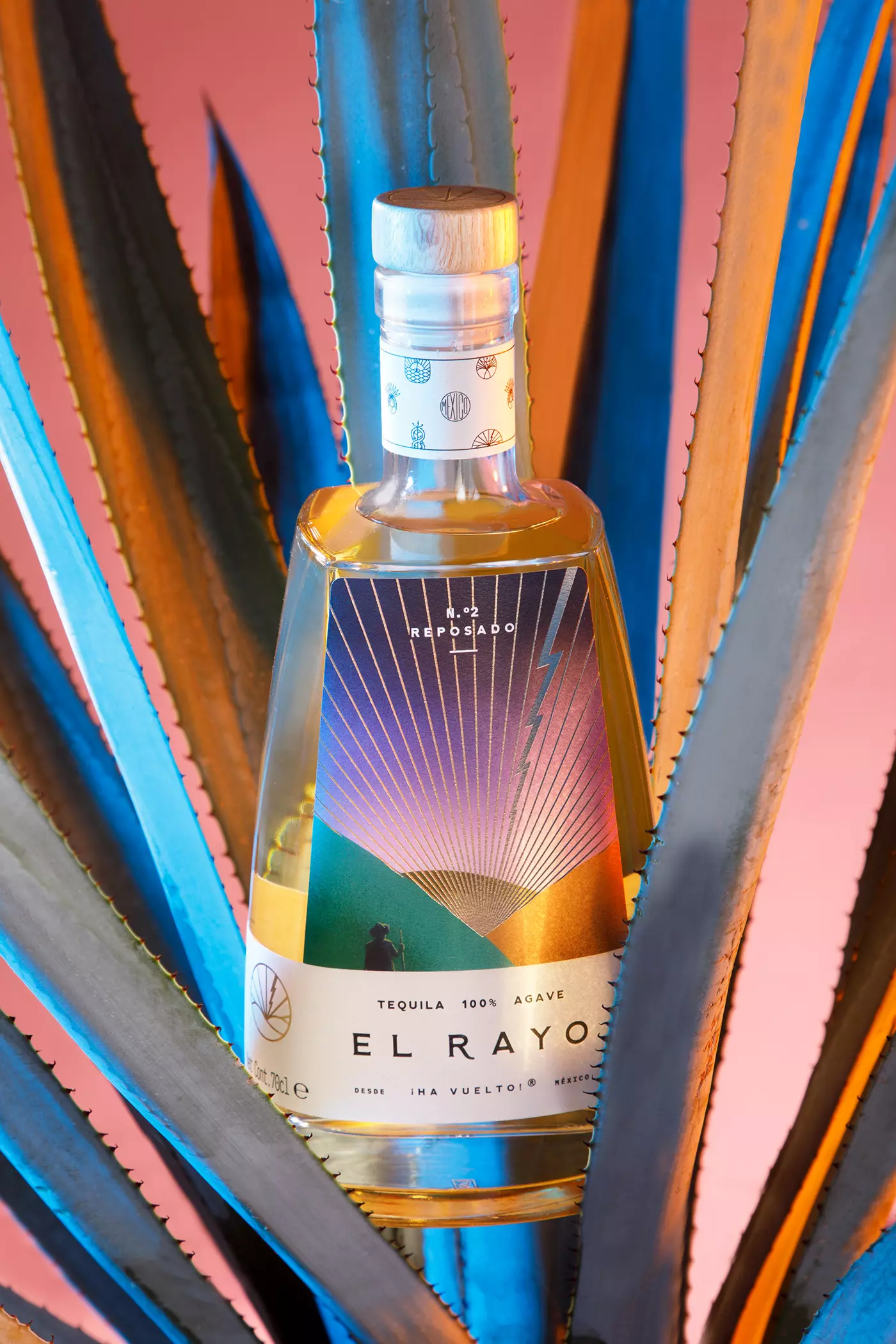 Những bức ảnh của El Rayo Tequila do Futura chụp cho thấy sự hùng vĩ của cây Agave xanh 542_14