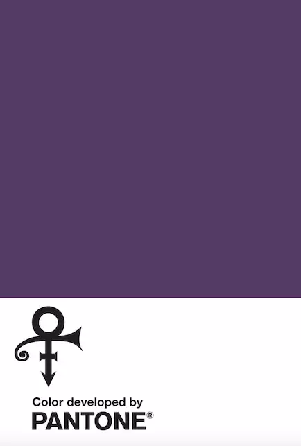 Pantone Chip Prince Purple