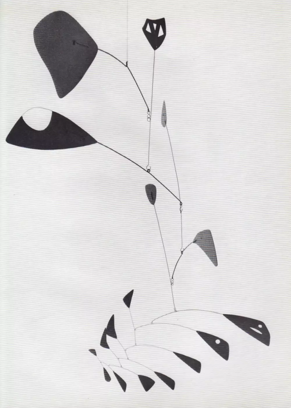 Matter-calder