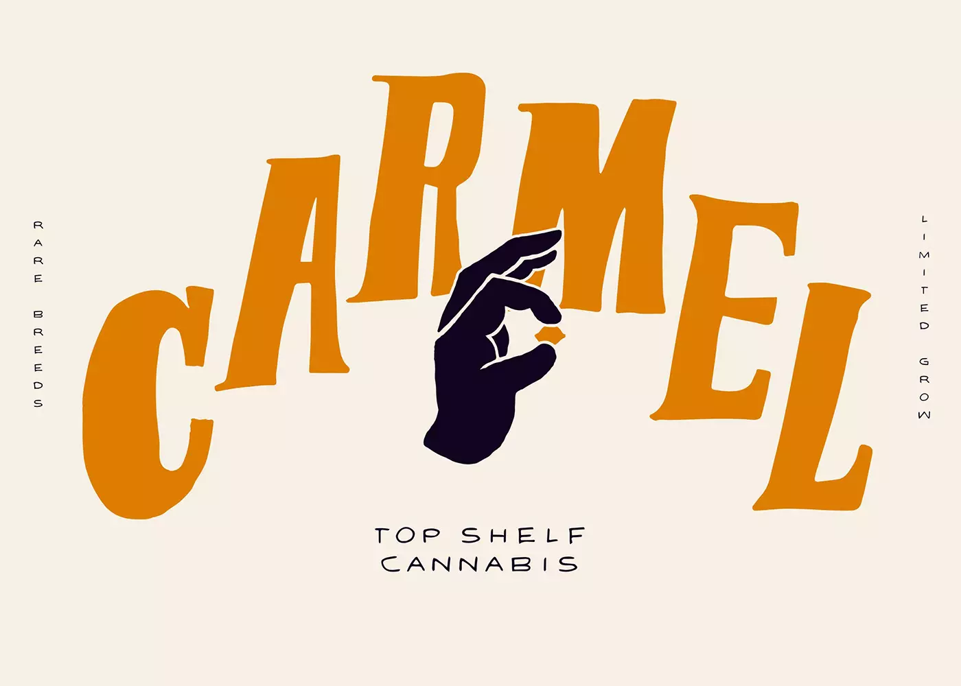 Carmel Cannabis එහි සන්නාම පද්ධතිය හරහා ශිල්පීය සහ හිතාමතා යන දෙකම වේ 6015_15
