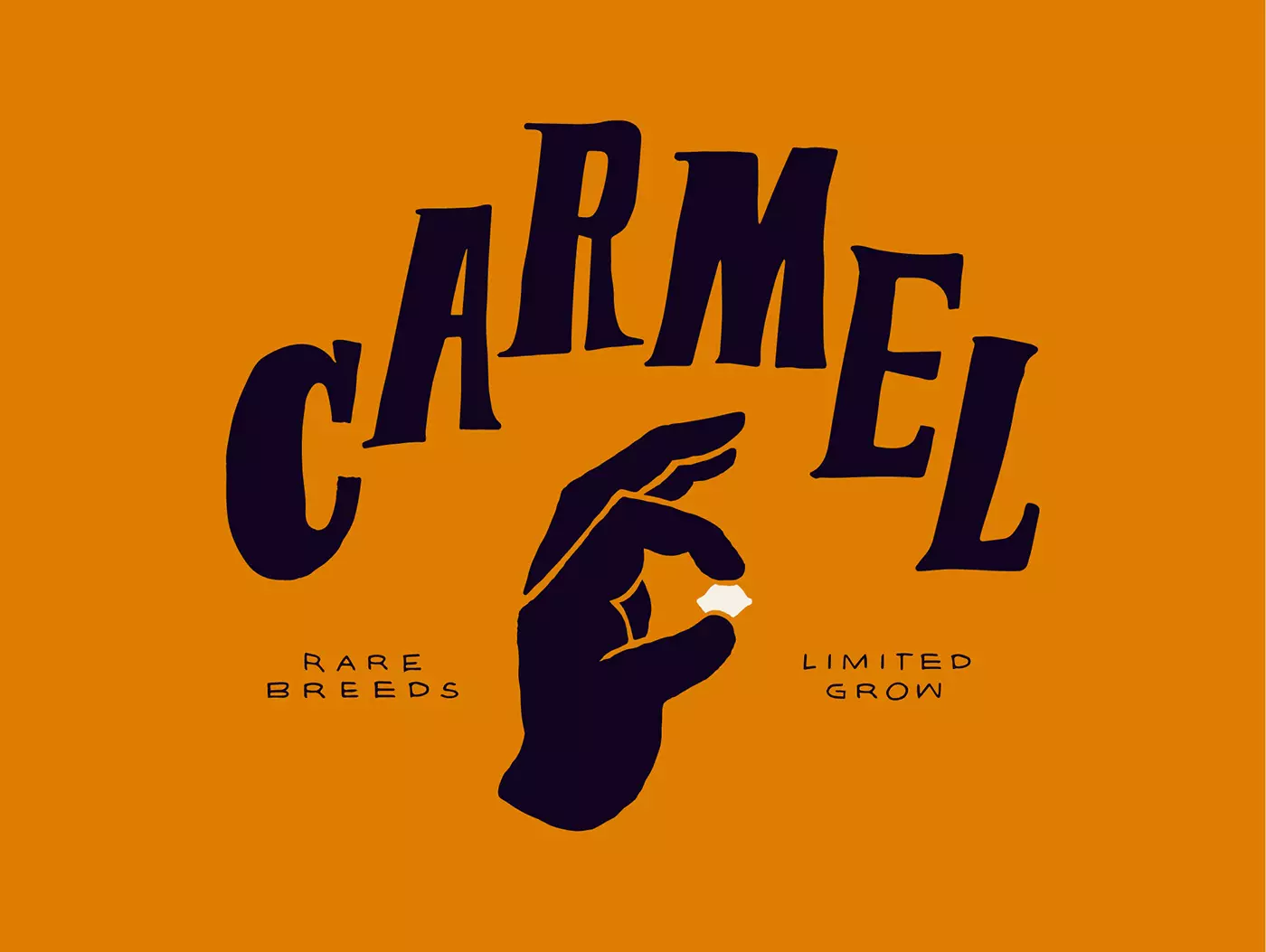 Carmel Cannabis er både håndverksmessig og tilsiktet gjennom merkevaresystemet 6015_19