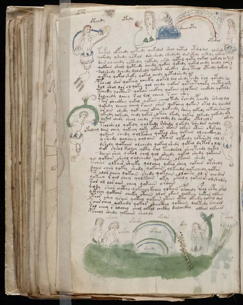 Dorëshkrimi i Voynich: Një gjëegjëzë e shtypur shekullore 706_7