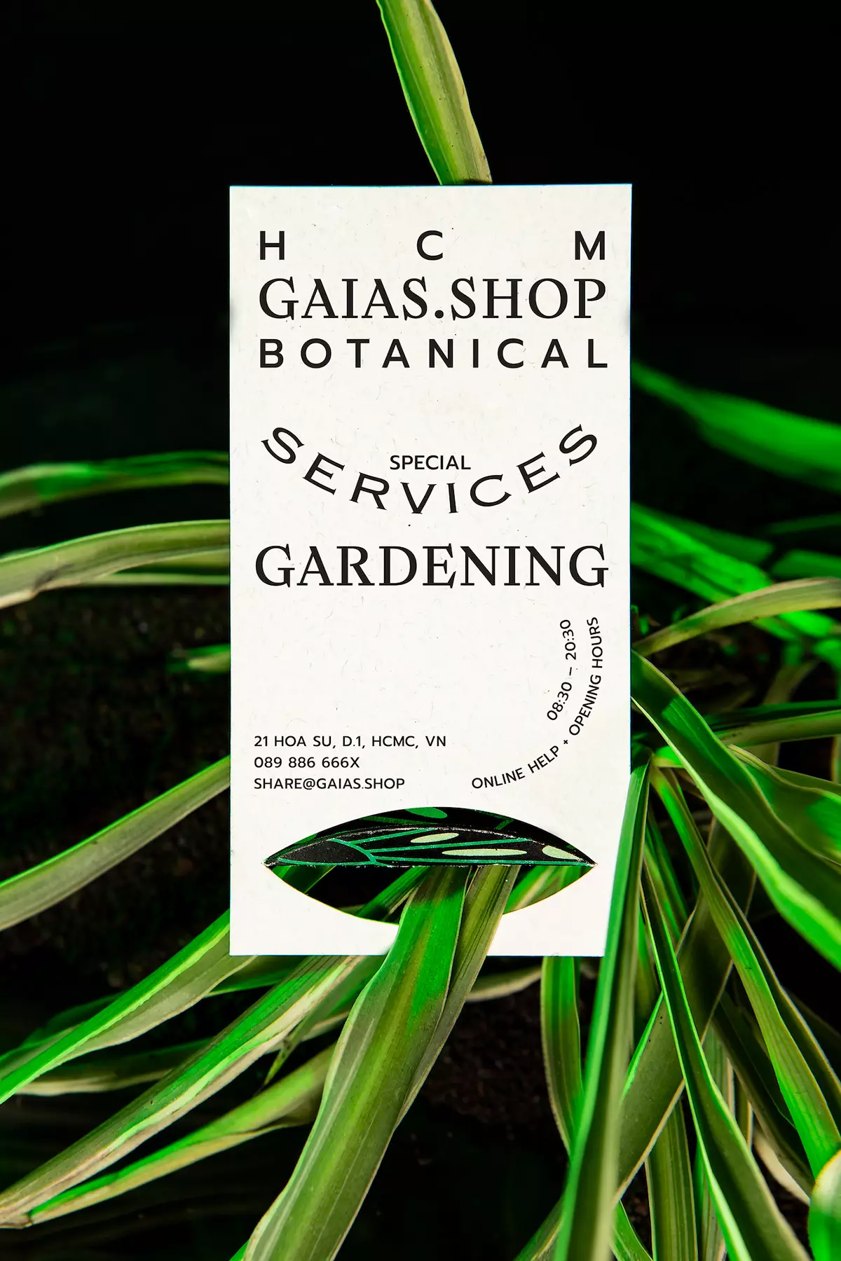 Gaias će inspirisati vaš zeleni palac za sadnju 8163_11