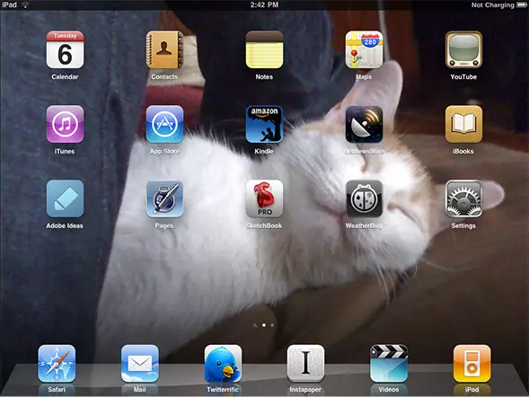 Kitty op desktop